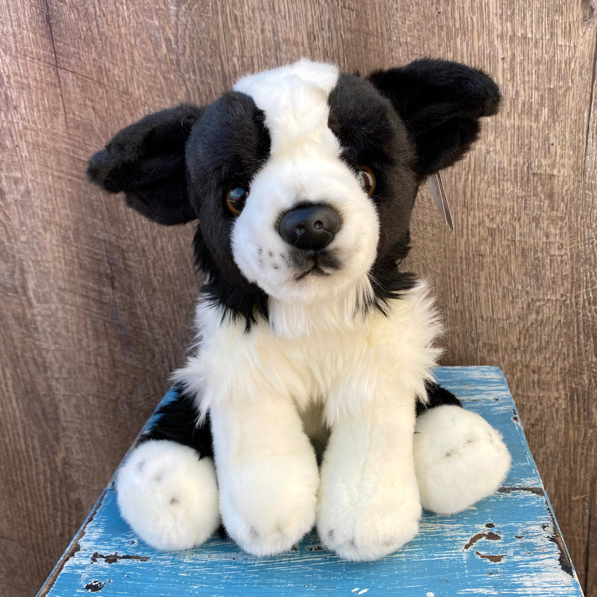 Border Collie Dog Plush – Howdy's Western Wear